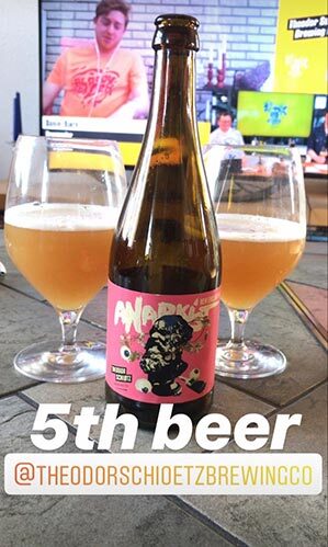 Danmarks Største Virtuelle Ølsmagning | Hvordan gik det egentlig?